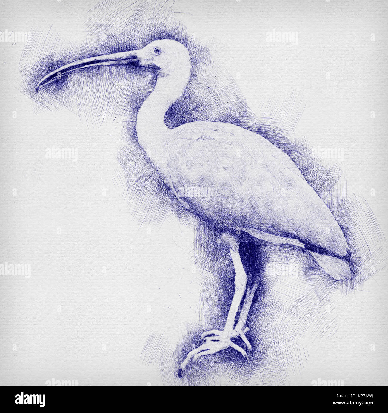 Painting of bird hi-res stock photography and images - Alamy