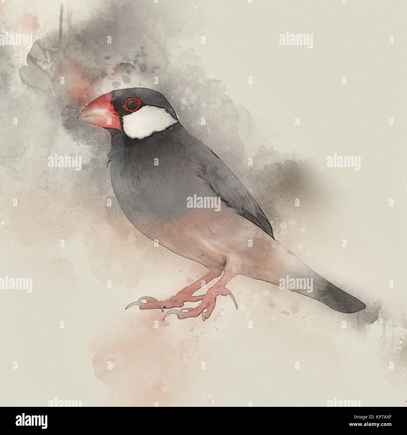 Sparrow Painting High Resolution Stock Photography and Images - Alamy