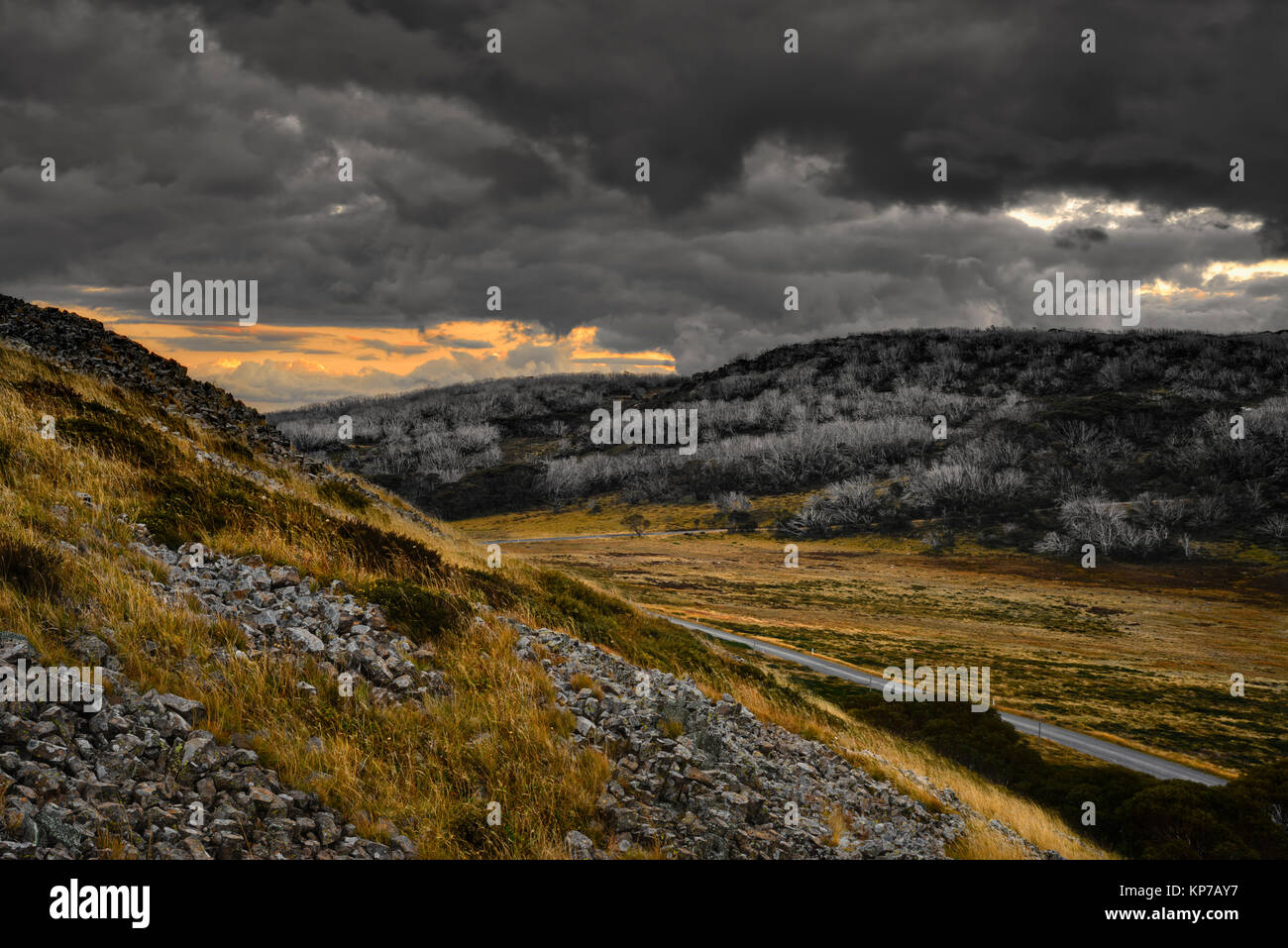 Alpine national park hi-res stock photography and images - Alamy