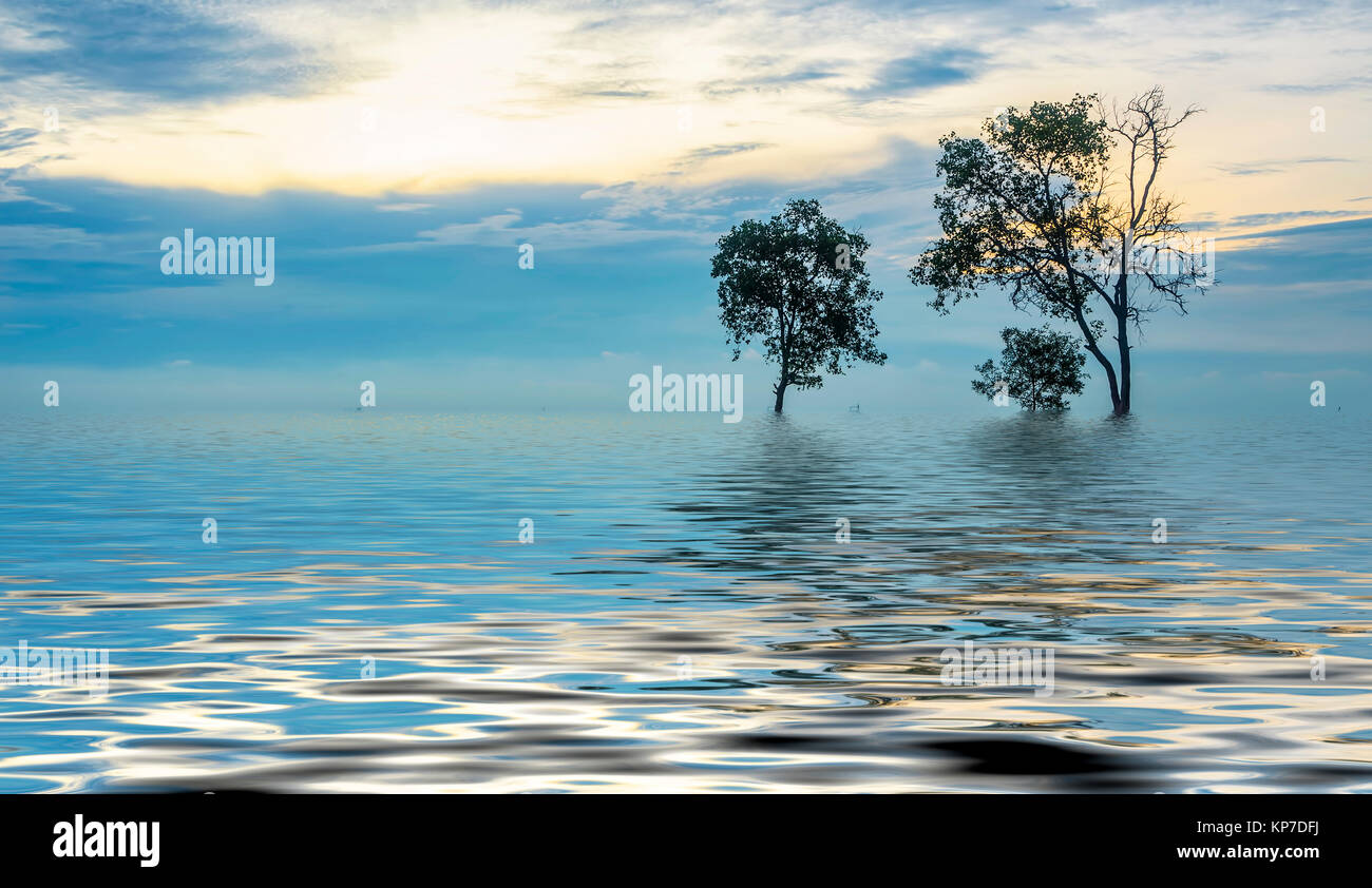 Tree silhouette with orange sunset reflection Stock Photo - Alamy