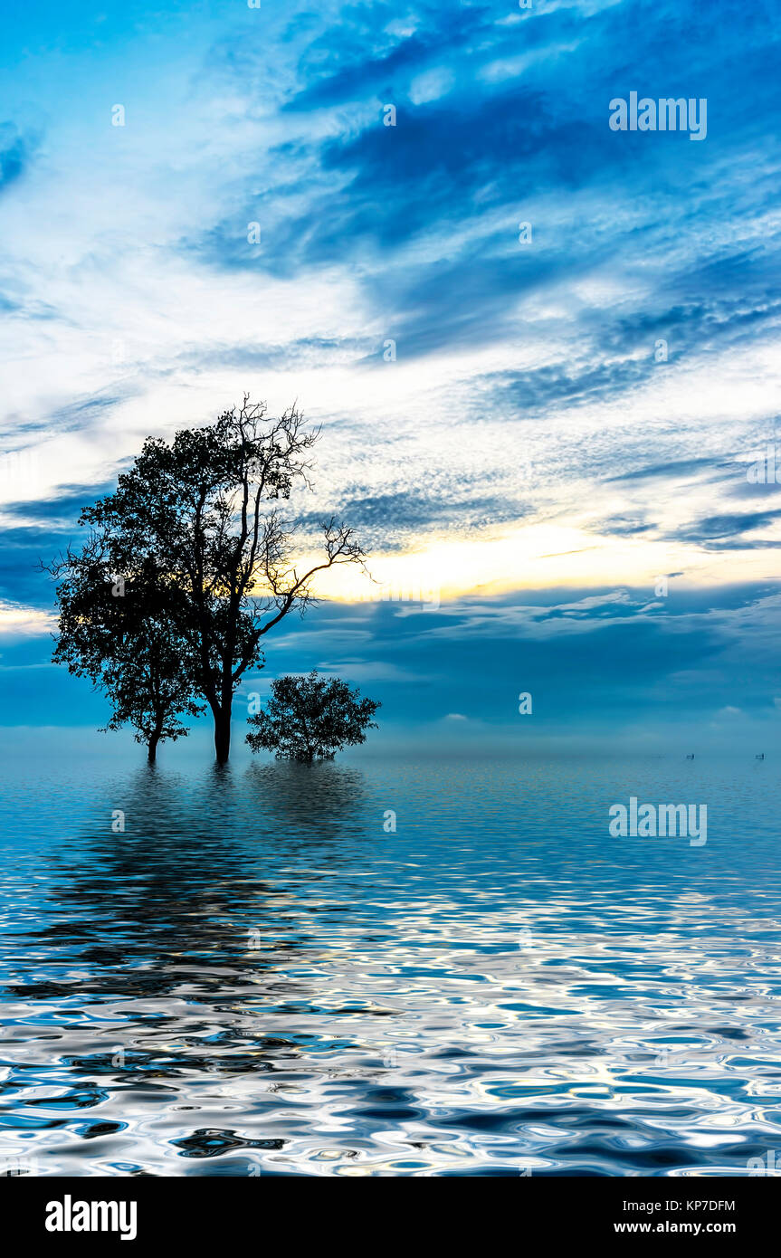 Tree silhouette with orange sunset reflection Stock Photo - Alamy