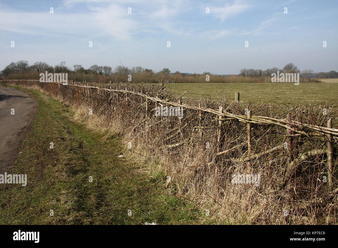 Stock fencing hi-res stock photography and images - Alamy