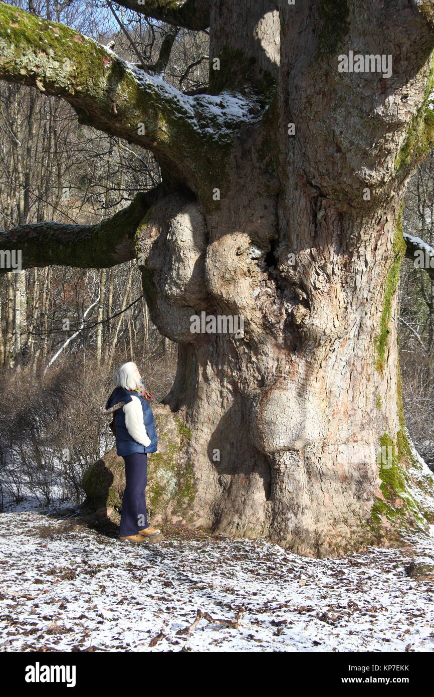 Birnam High Resolution Stock Photography and Images - Alamy