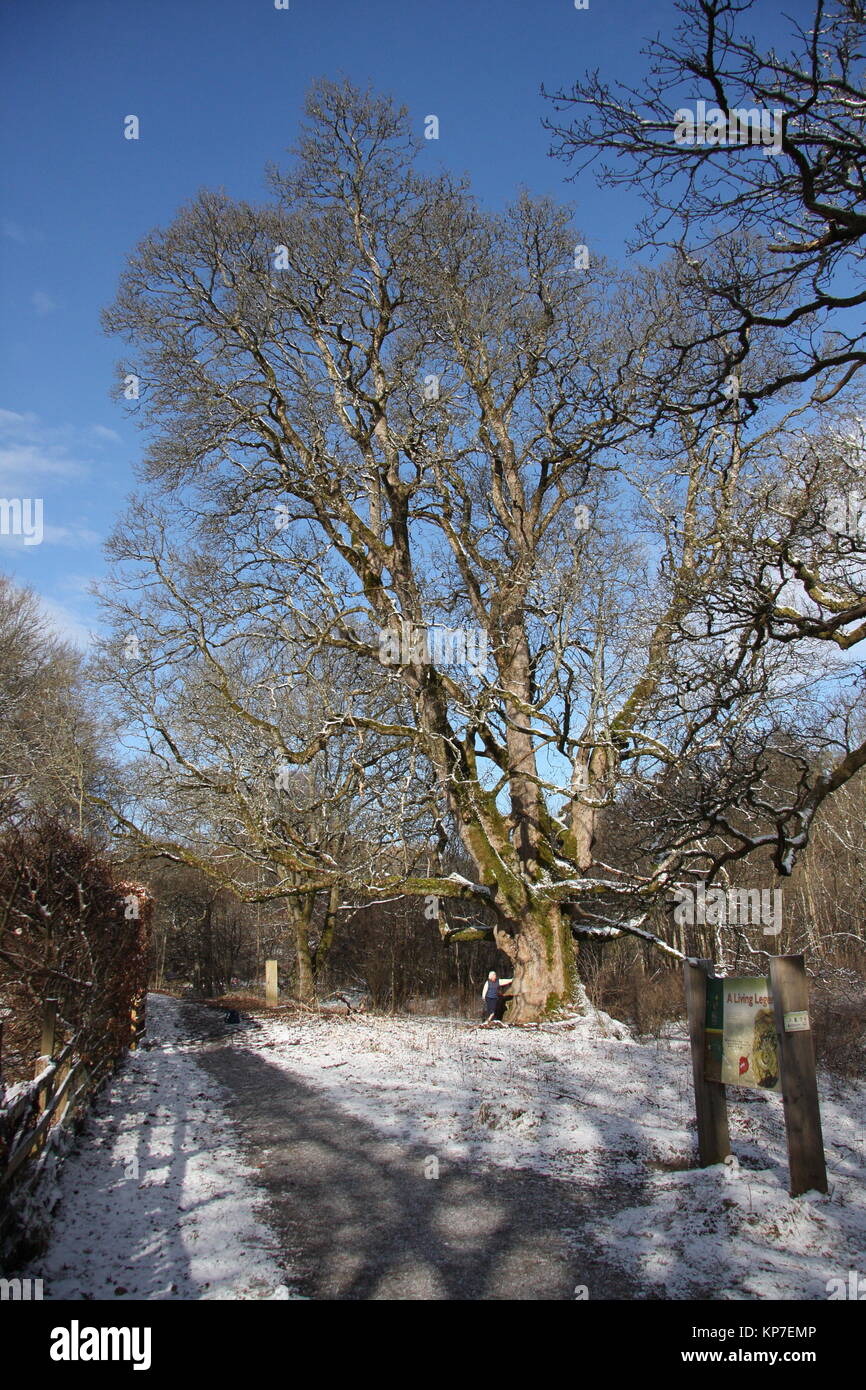 Birnam High Resolution Stock Photography and Images - Alamy