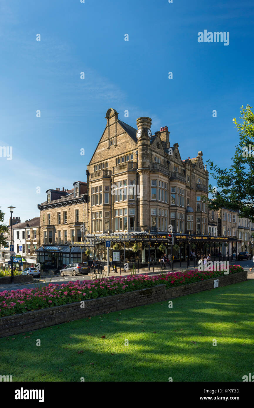 Betty's Cafe Tea Rooms, Harrogate, North Yorkshire Stock Photo - Alamy