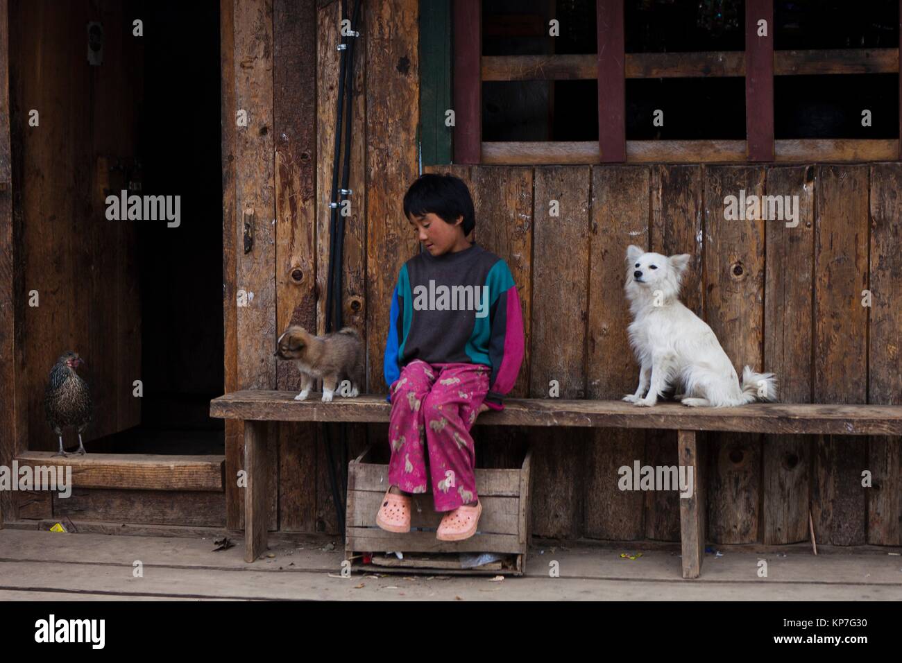 Bhutanese dog High Resolution Stock Photography and Images - Alamy