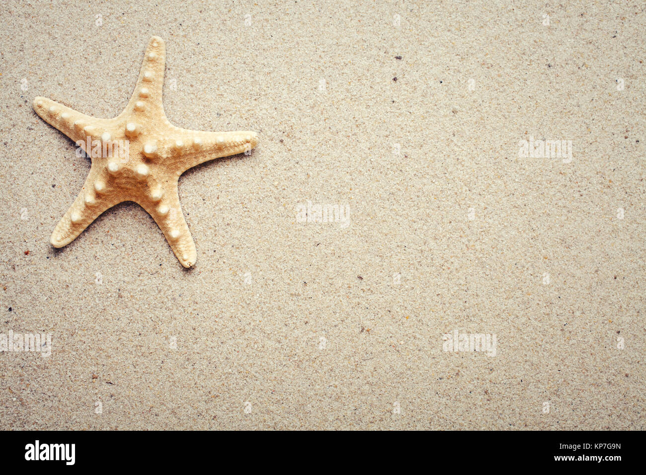 Sea shells on sand. Starfish Stock Photo - Alamy