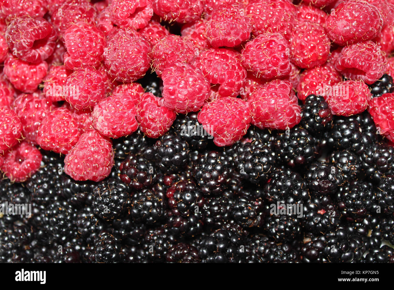 raspberries and blackberries Stock Photo - Alamy