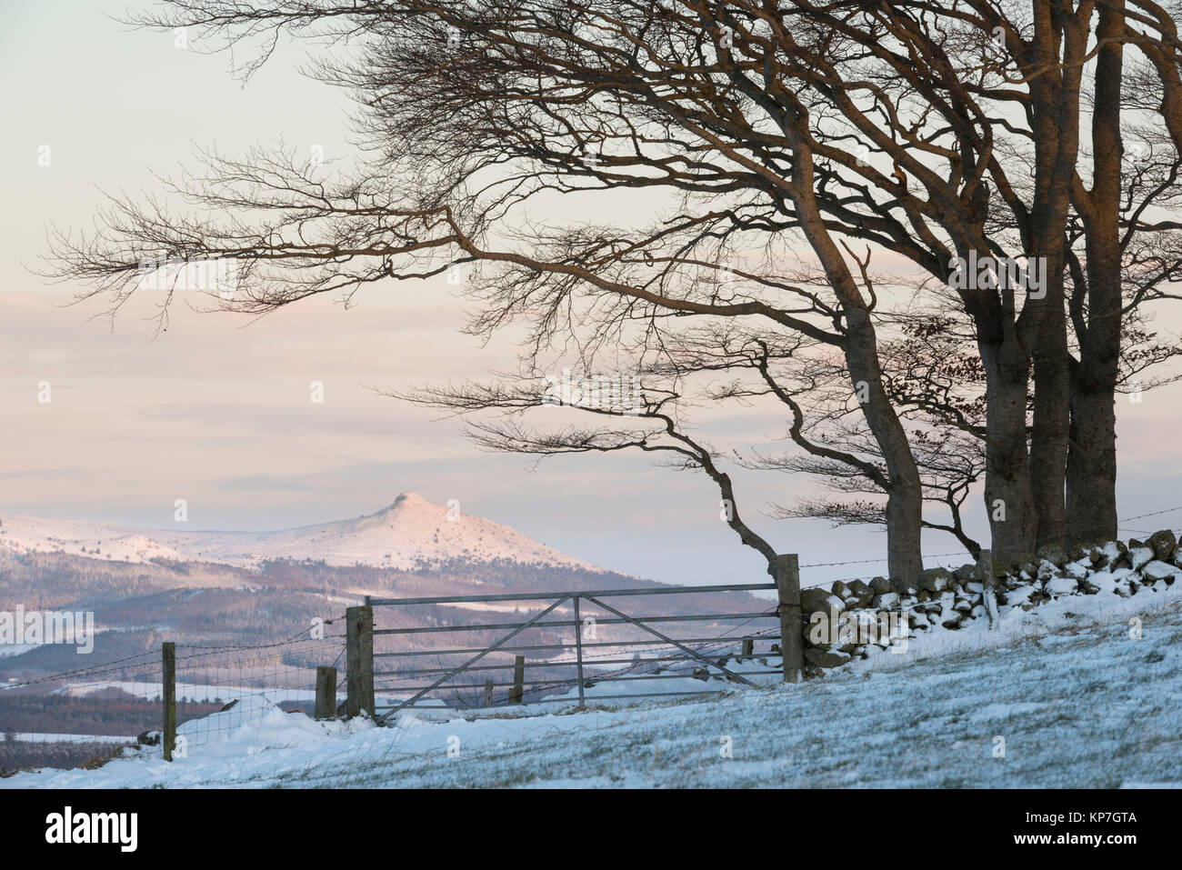 Bennachie hi-res stock photography and images - Alamy