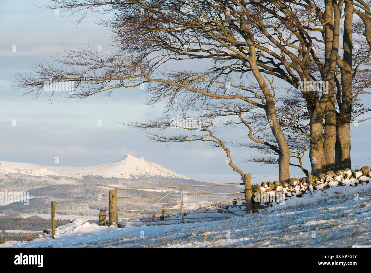A View Towards Bennachie on a Snowy Winter Morning Stock Photo - Alamy