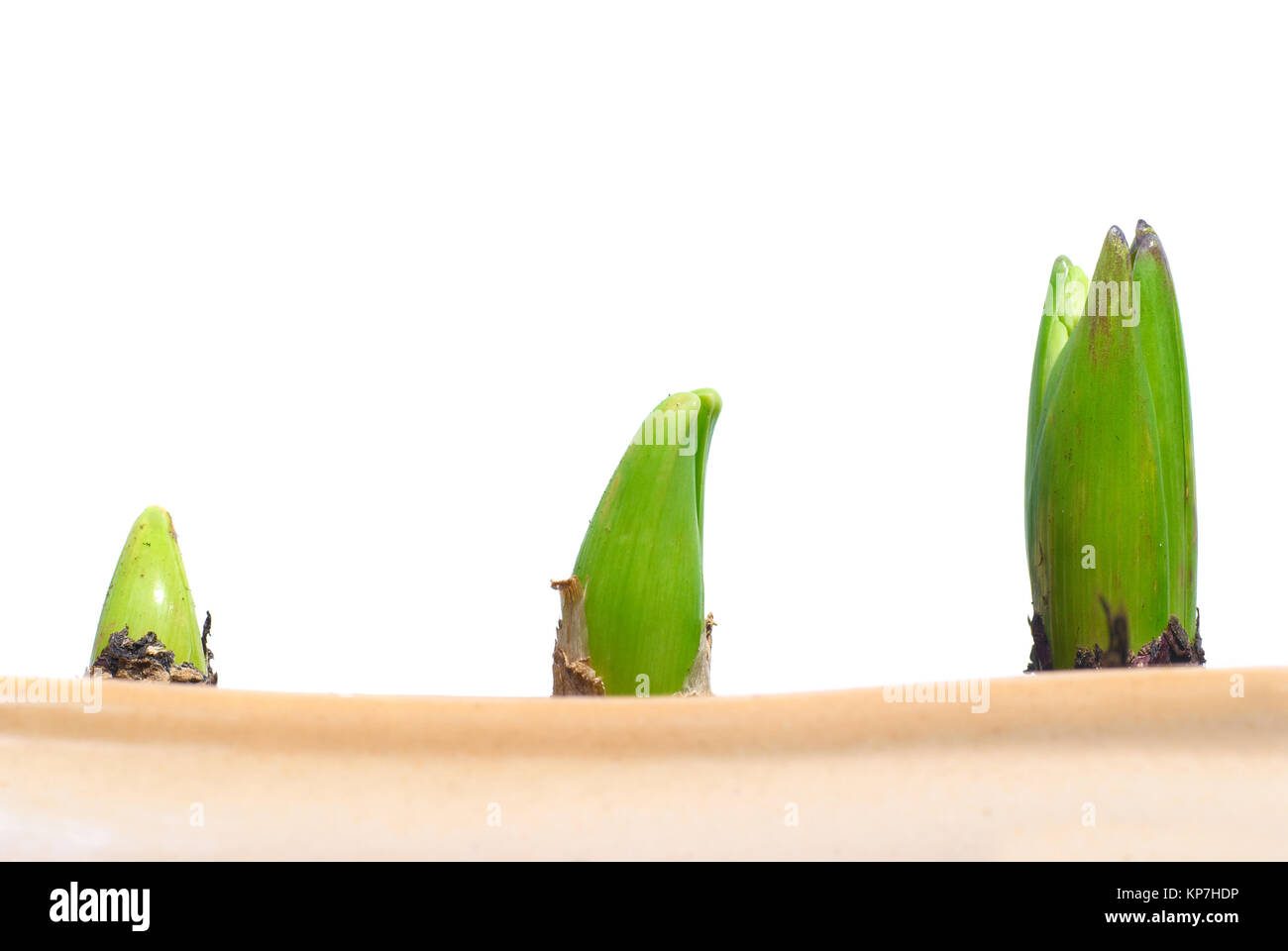 Three stages of life hi-res stock photography and images - Alamy