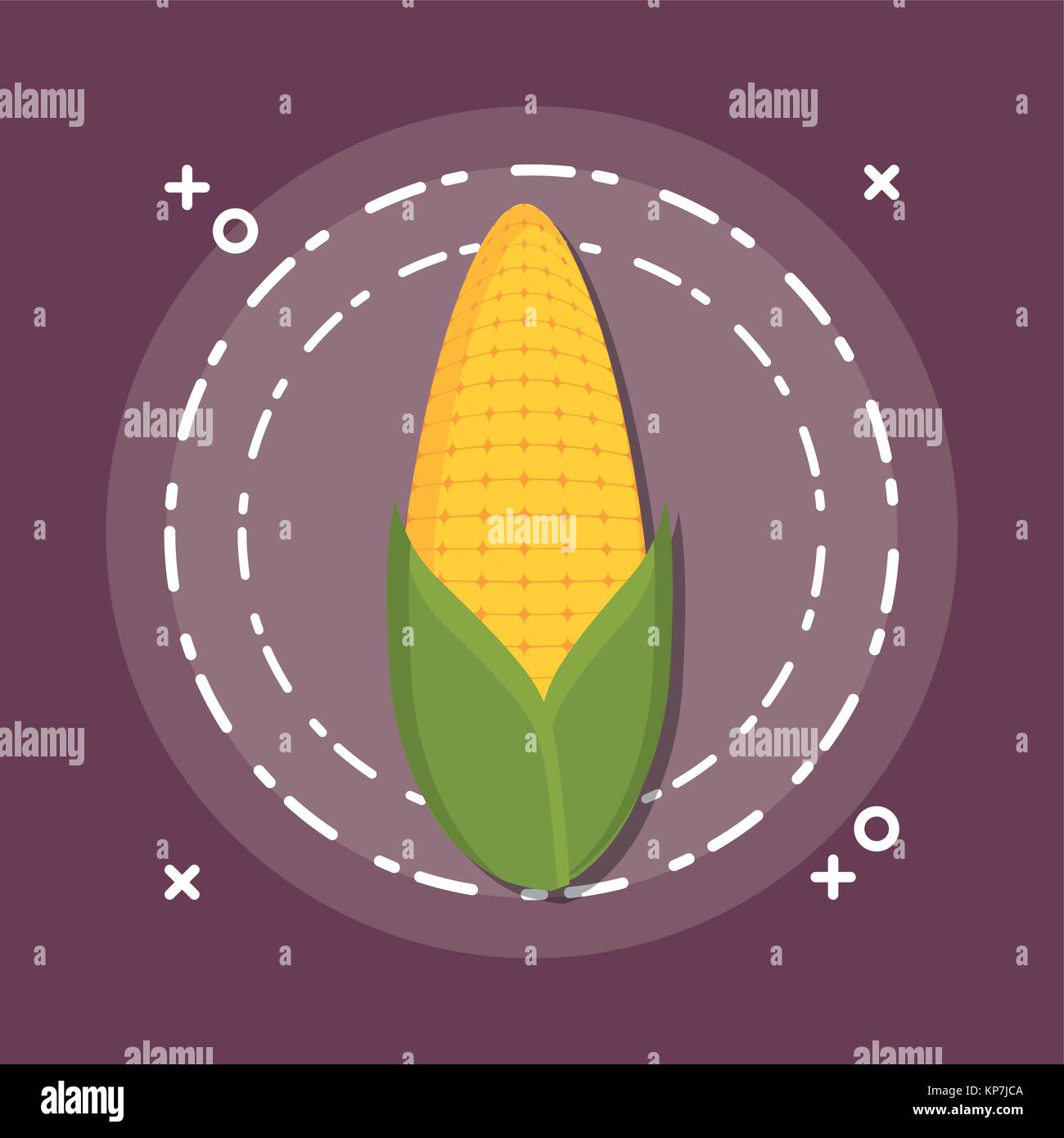 sweet golden corn Stock Vector Image & Art - Alamy