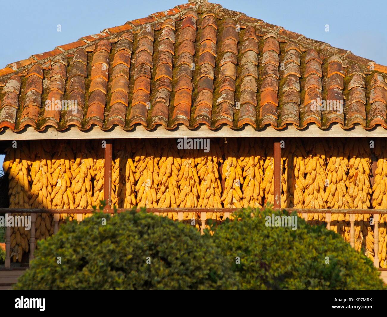 The granary building hi-res stock photography and images - Alamy