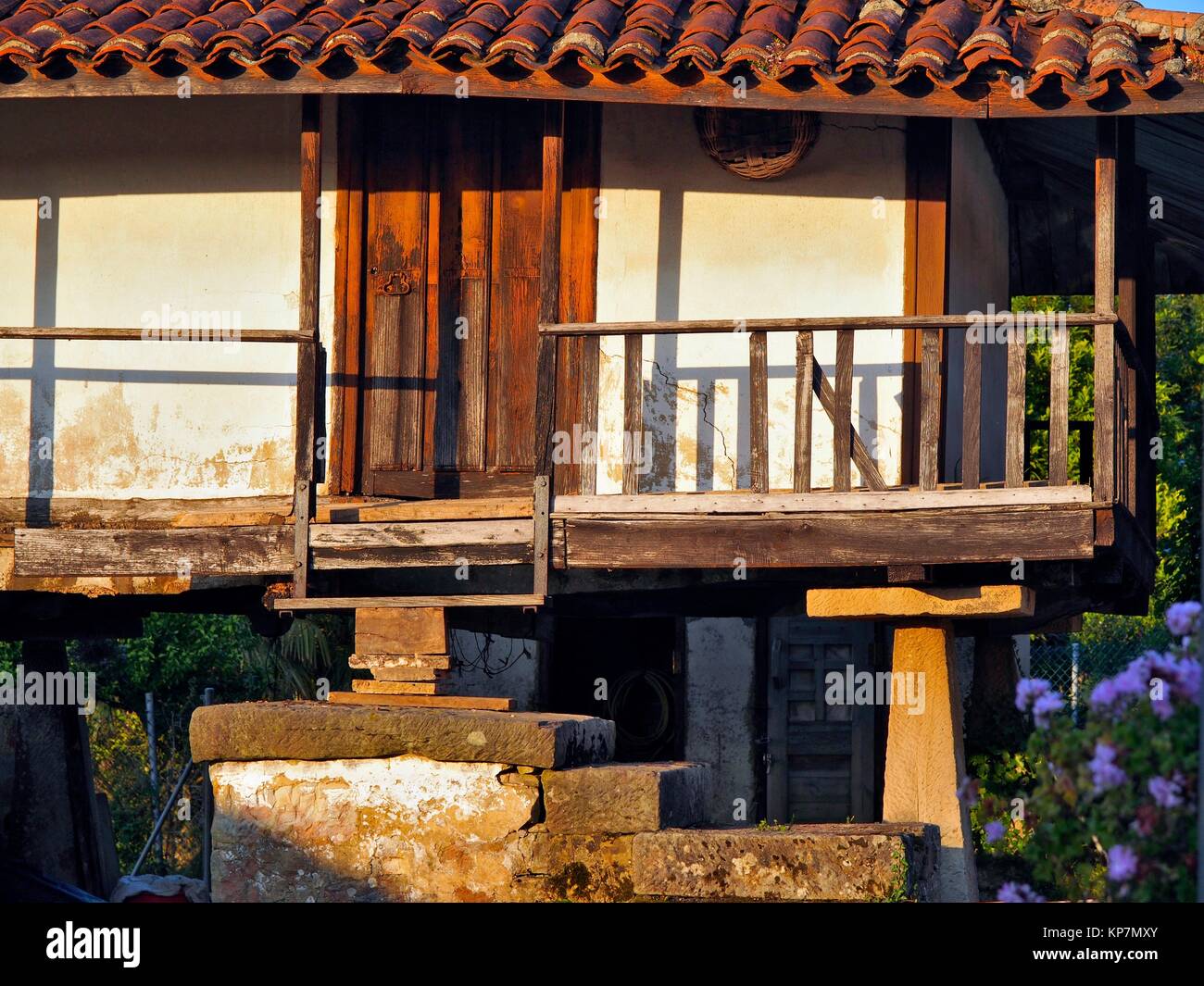 Typical Asturian raised granary building or "Horreo" , detail ...