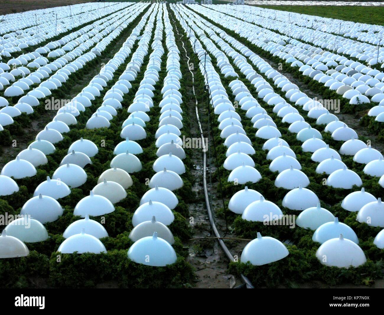 Tordera river hi-res stock photography and images - Alamy