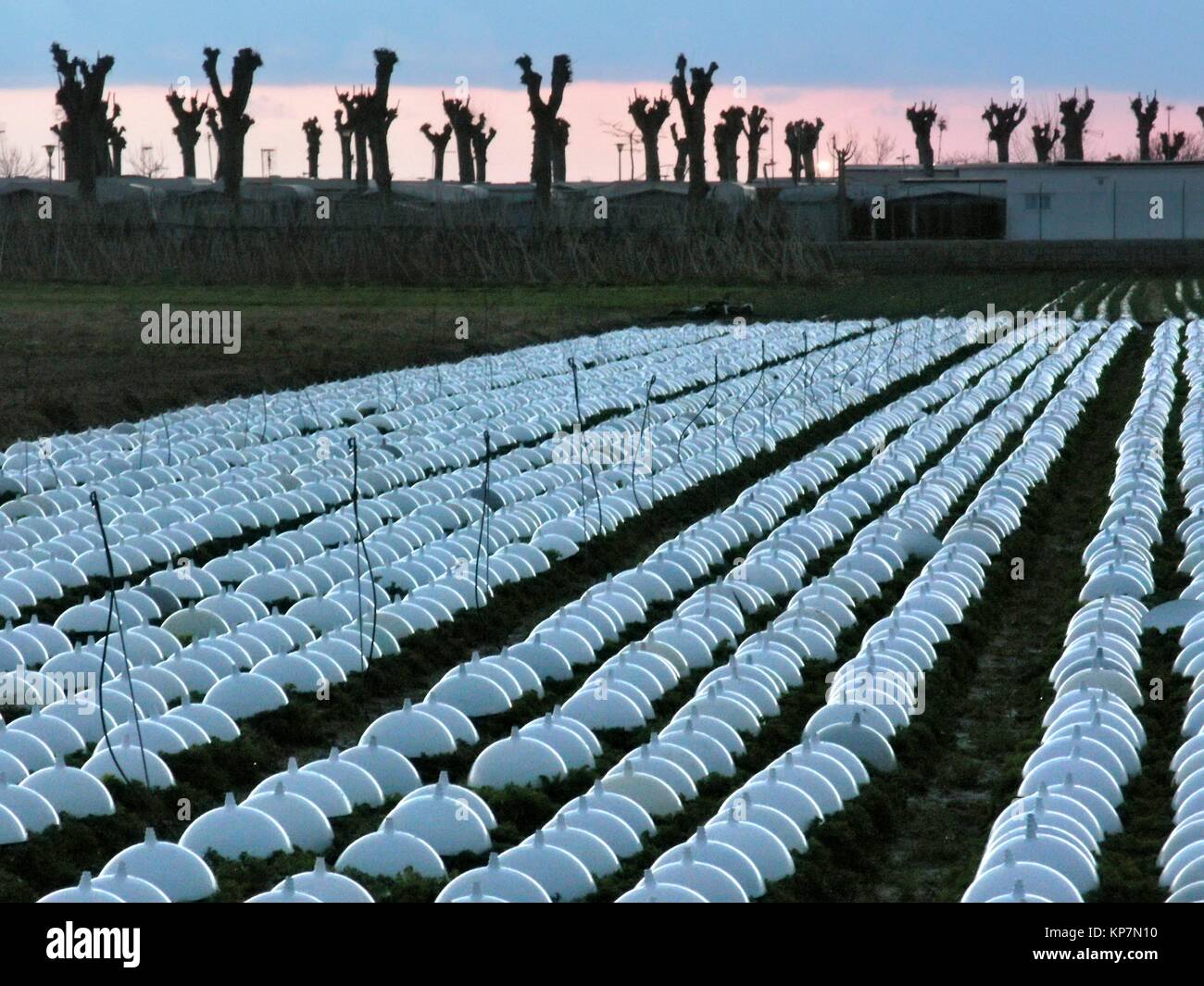 La tordera river hi-res stock photography and images - Alamy