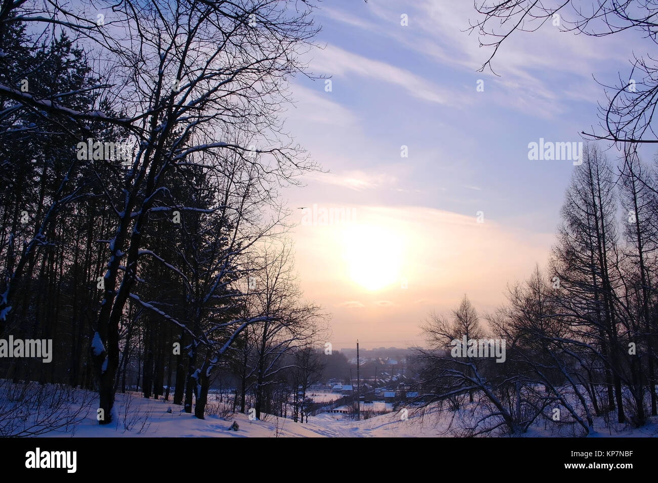 Evening winter landscape Stock Photo - Alamy