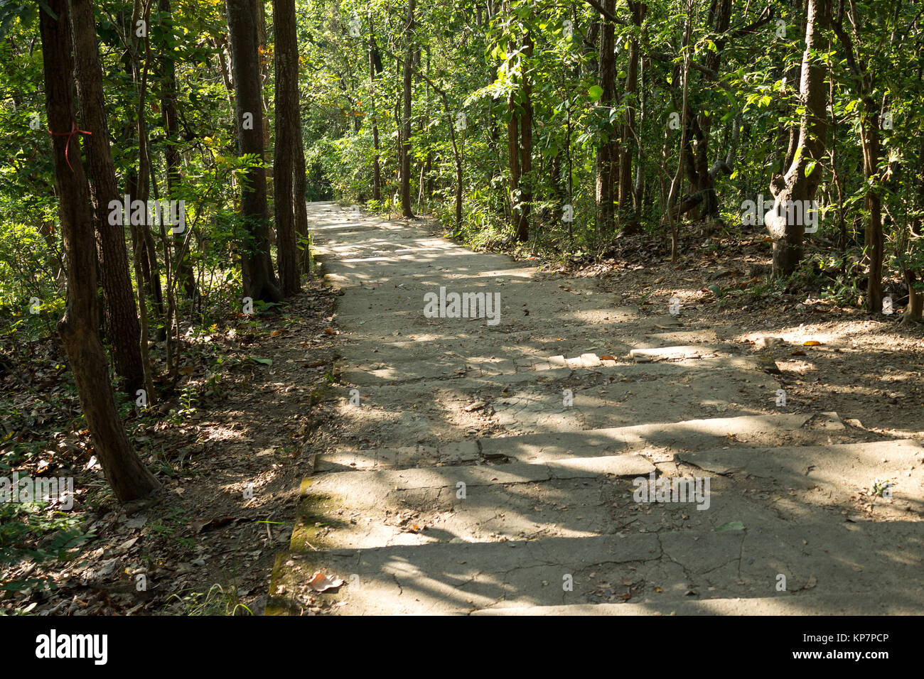 Stone walk way Stock Photo - Alamy