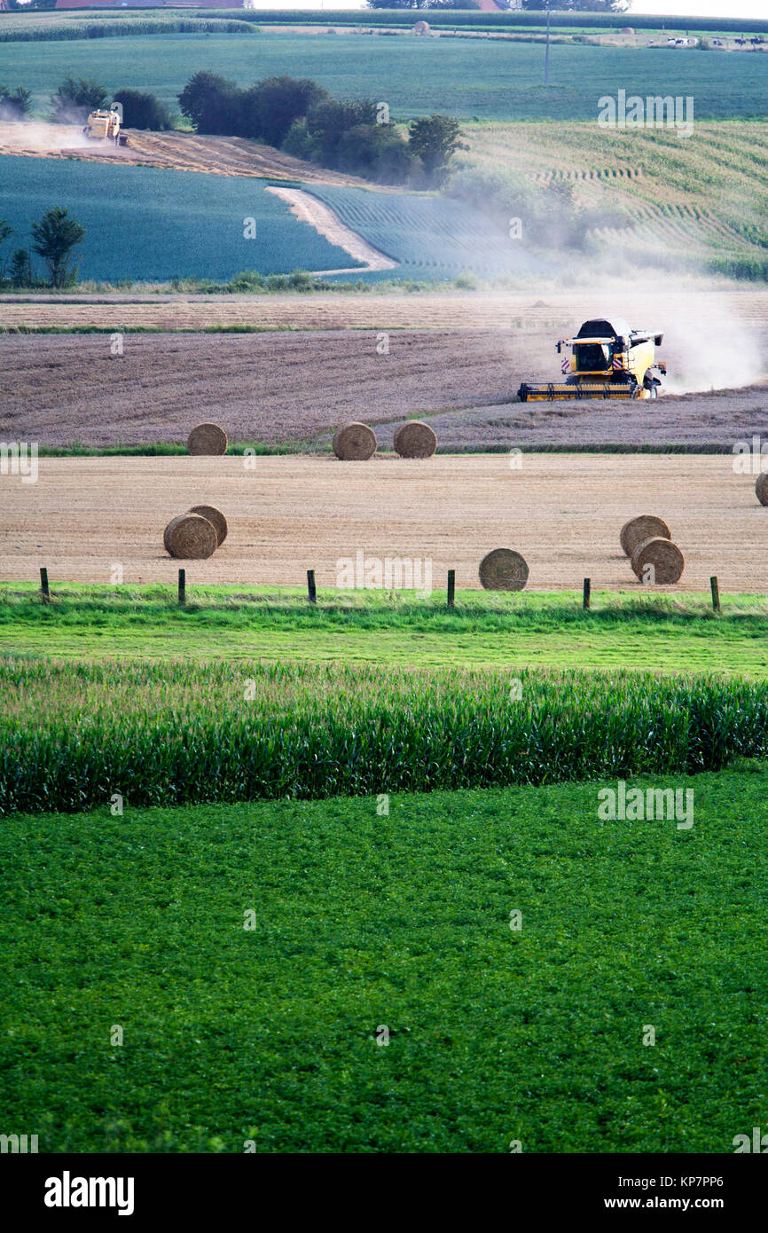 Field wheat harvester harvesting robot hi-res stock photography and ...
