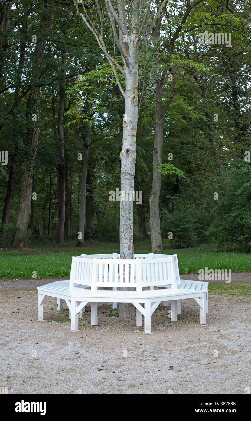 White benches,grouped around a tree Stock Photo - Alamy