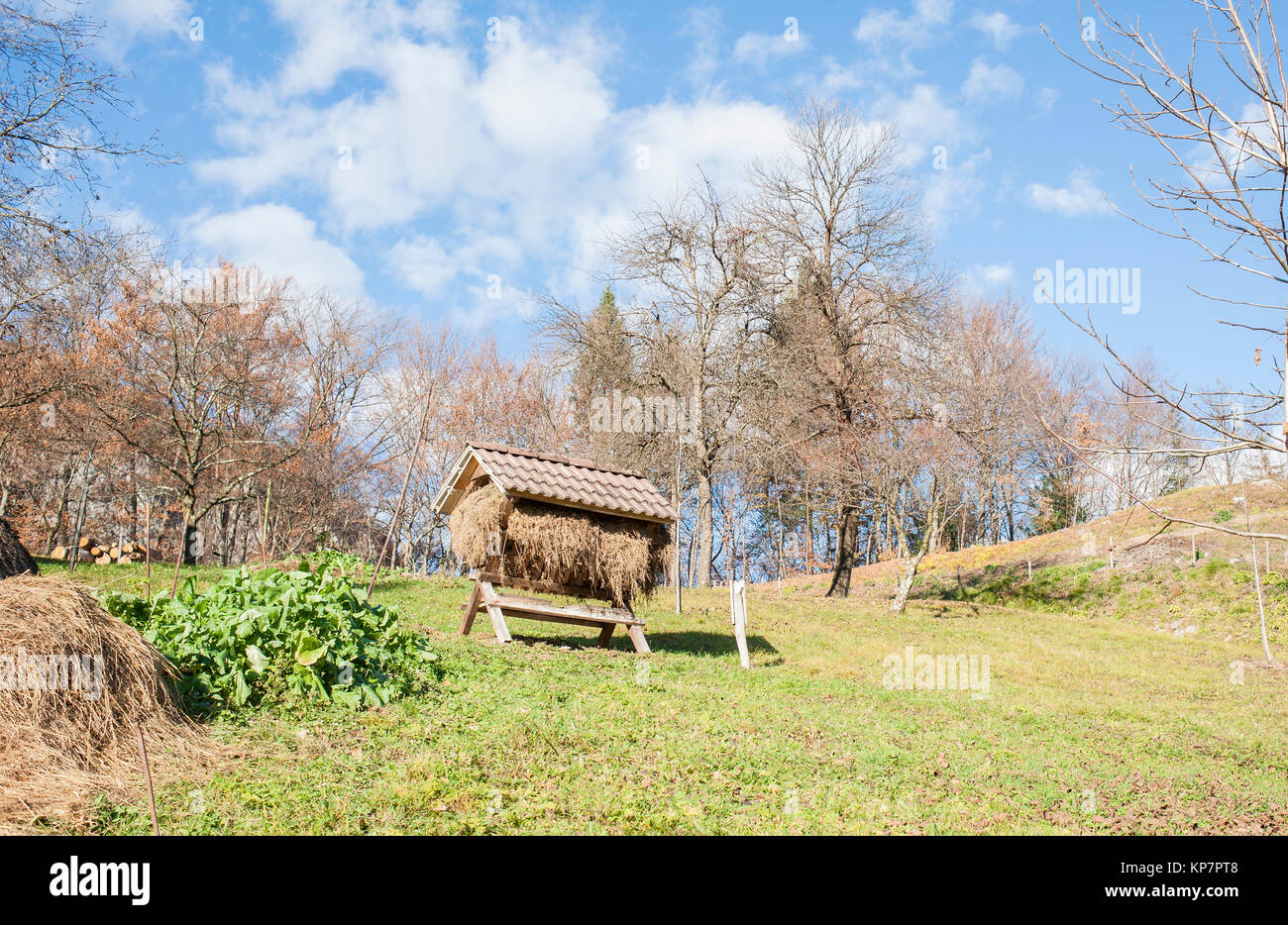 Manger with hay in a pen for large mammals. The traditional design of ...
