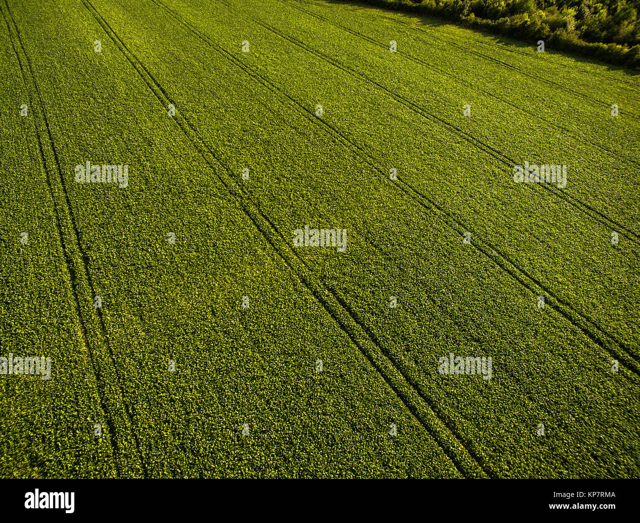 Farmland from above - aerial image of a lush green filed Stock Photo ...