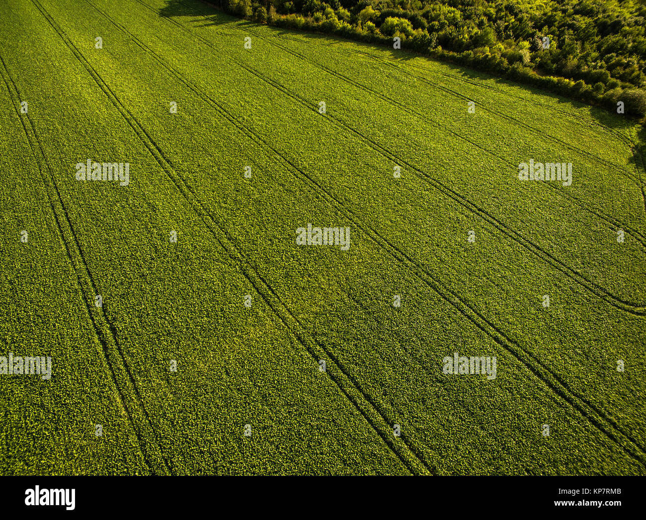 Farmland from above - aerial image of a lush green filed Stock Photo ...