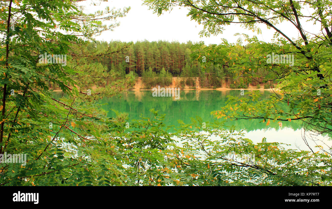 beautiful lake in the forest Stock Photo - Alamy