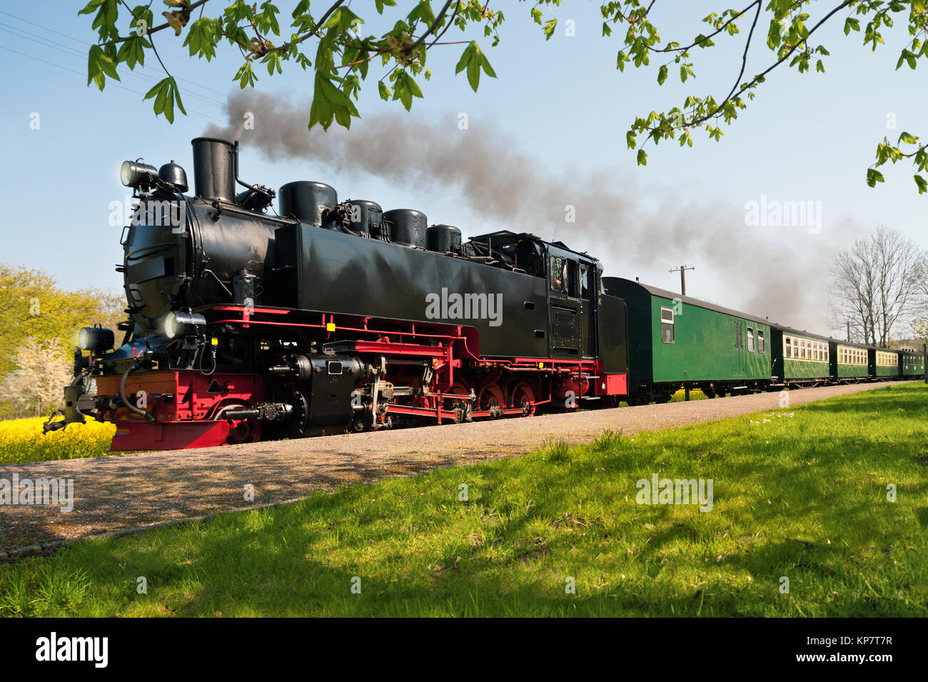 Historical German steam train passes through the fields Stock Photo - Alamy