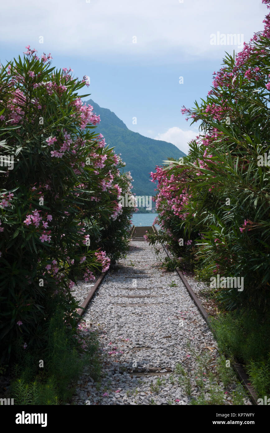 Heat haze rail hi-res stock photography and images - Alamy