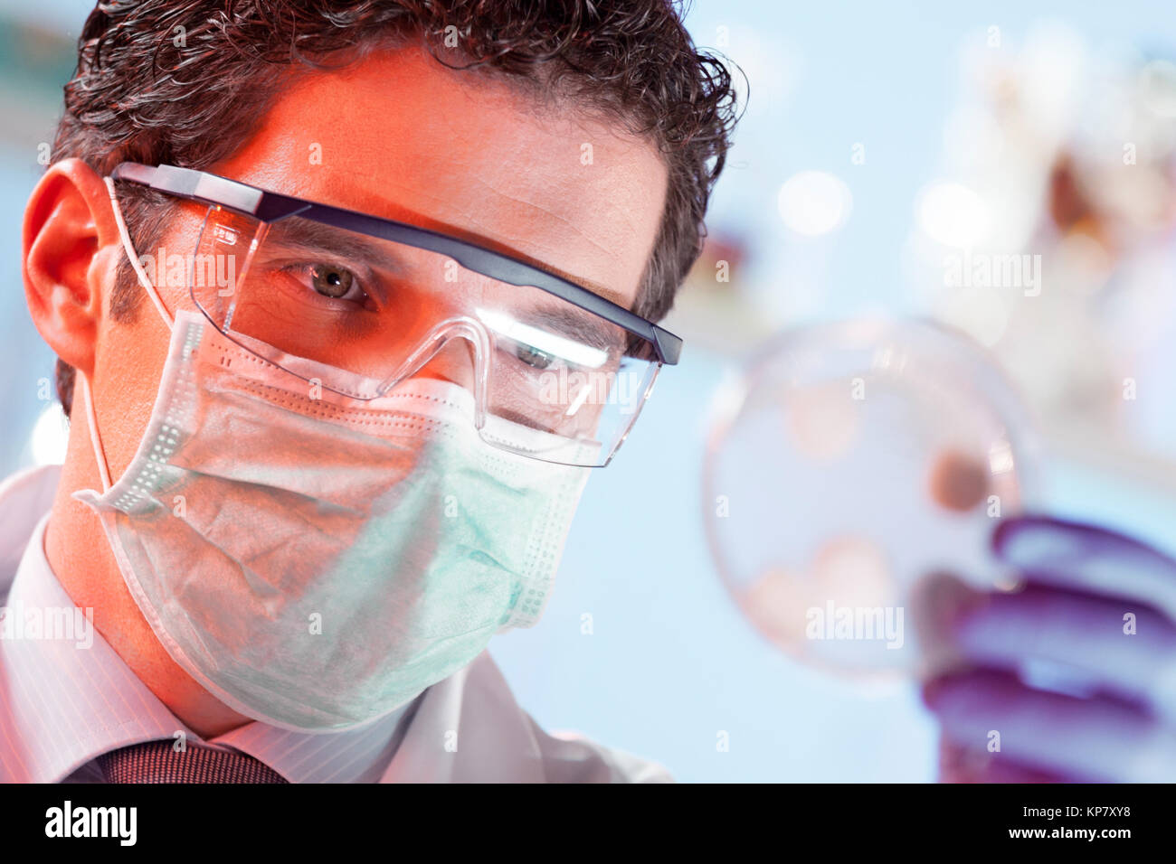 Scientist observing petri dish Stock Photo - Alamy