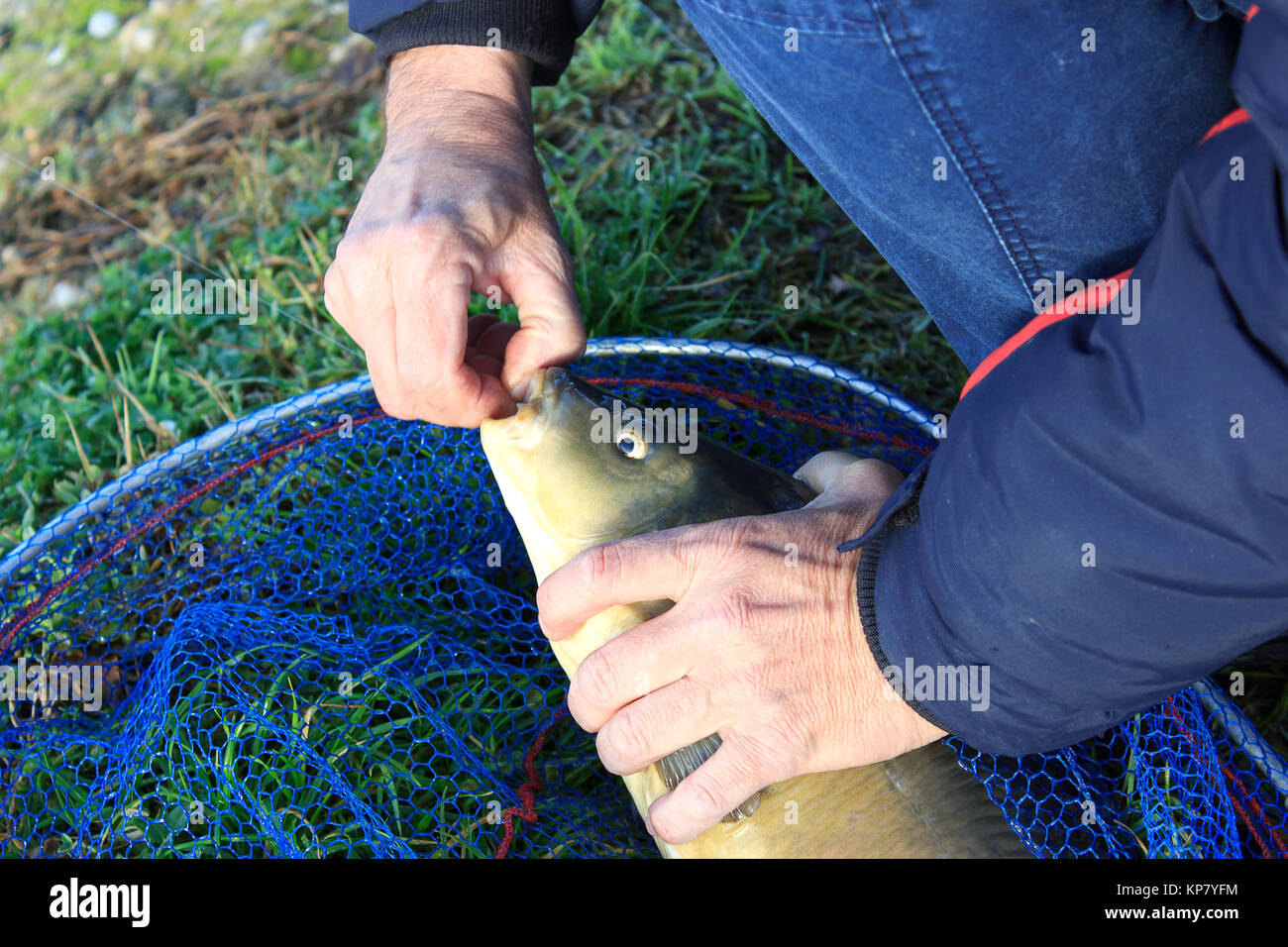 unhook a fish Stock Photo - Alamy