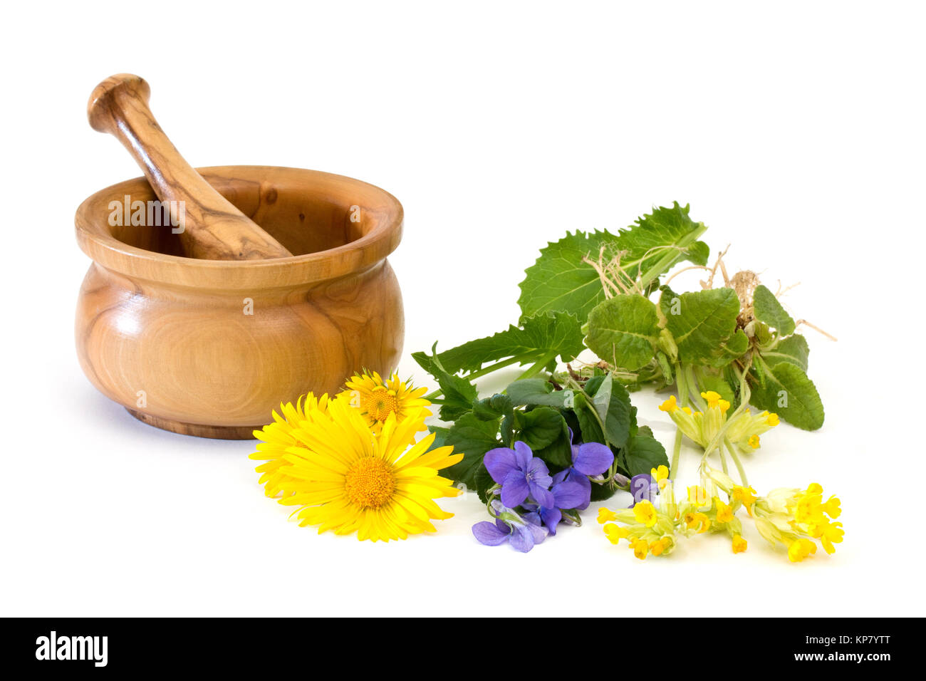 medicinal herbs with mortar and pestle Stock Photo - Alamy
