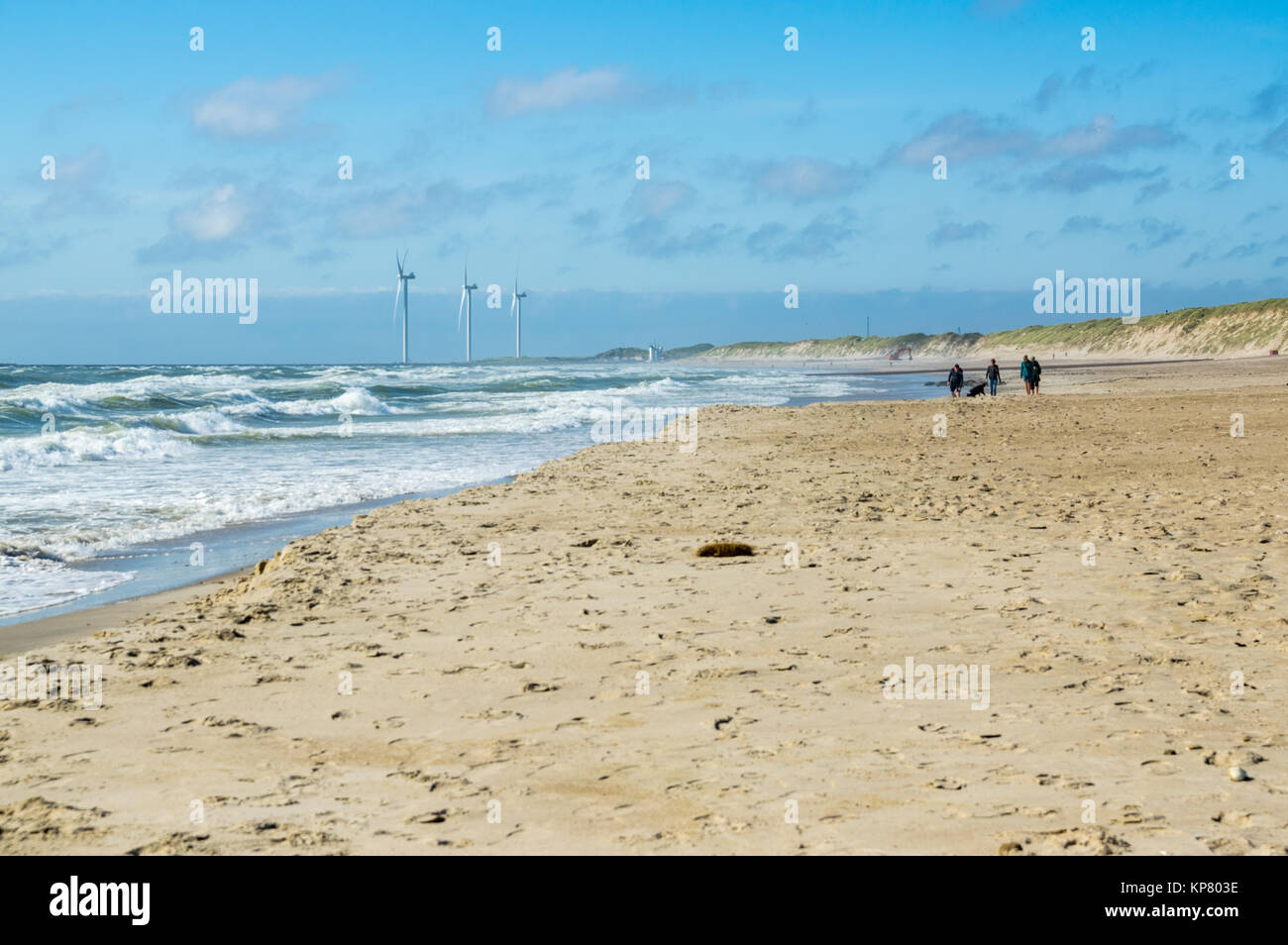 summer beach on denmark's north sea coast Stock Photo - Alamy