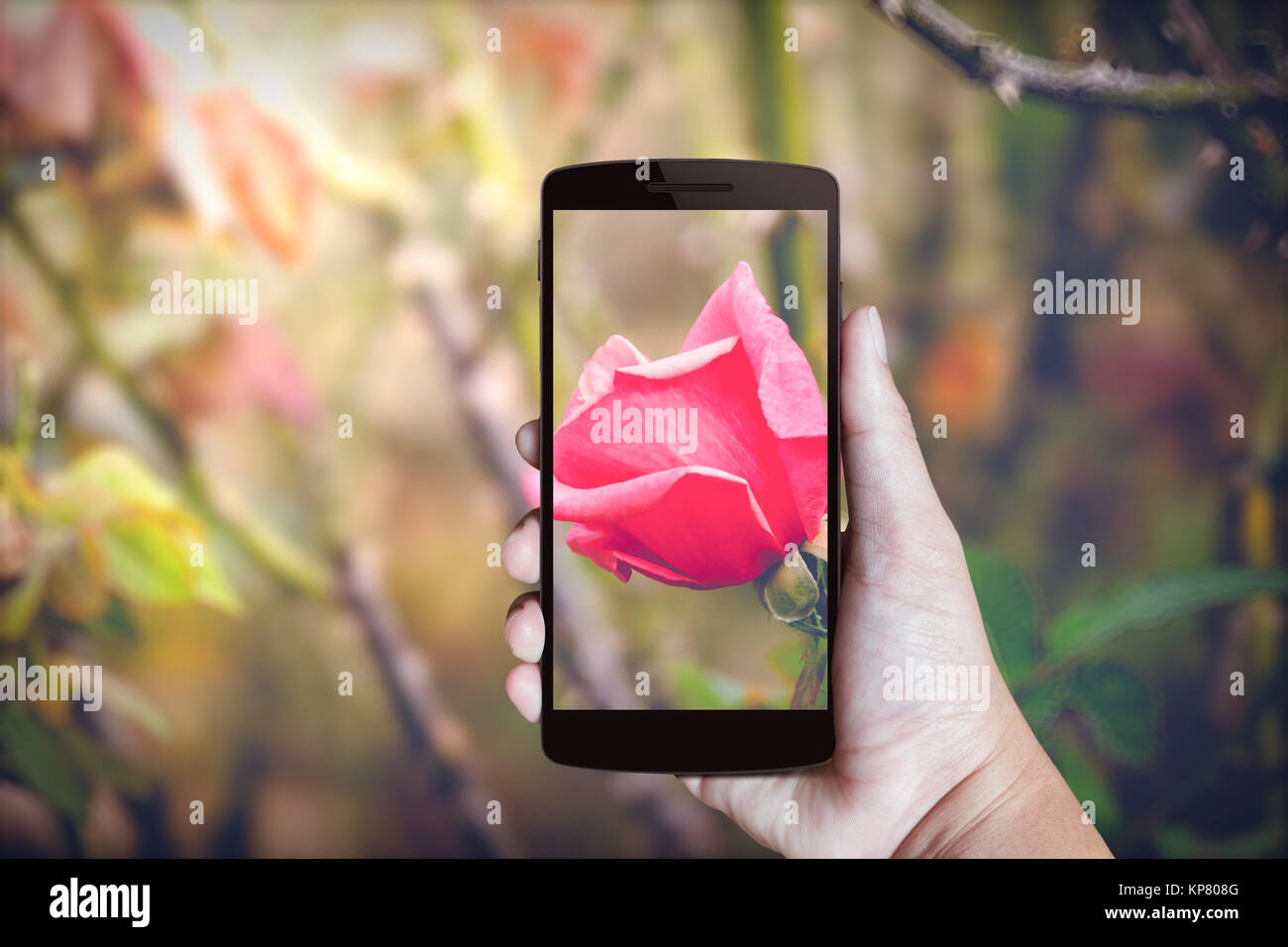 Modern mobile phone in the hand Stock Photo - Alamy