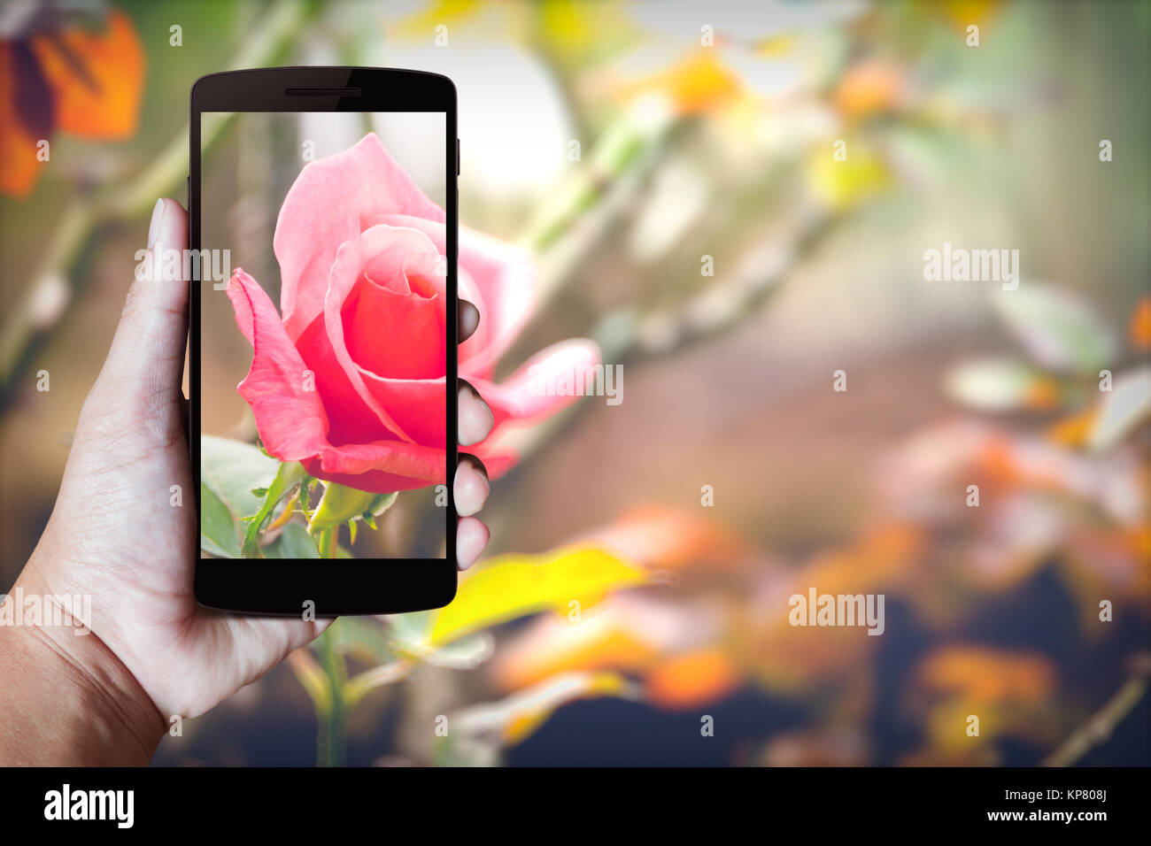 Modern mobile phone in the hand Stock Photo - Alamy