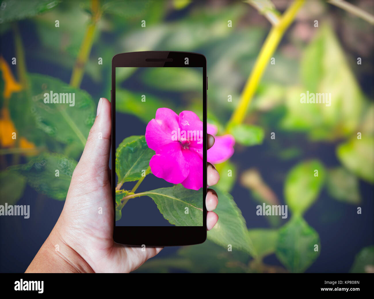 Modern mobile phone in the hand Stock Photo - Alamy