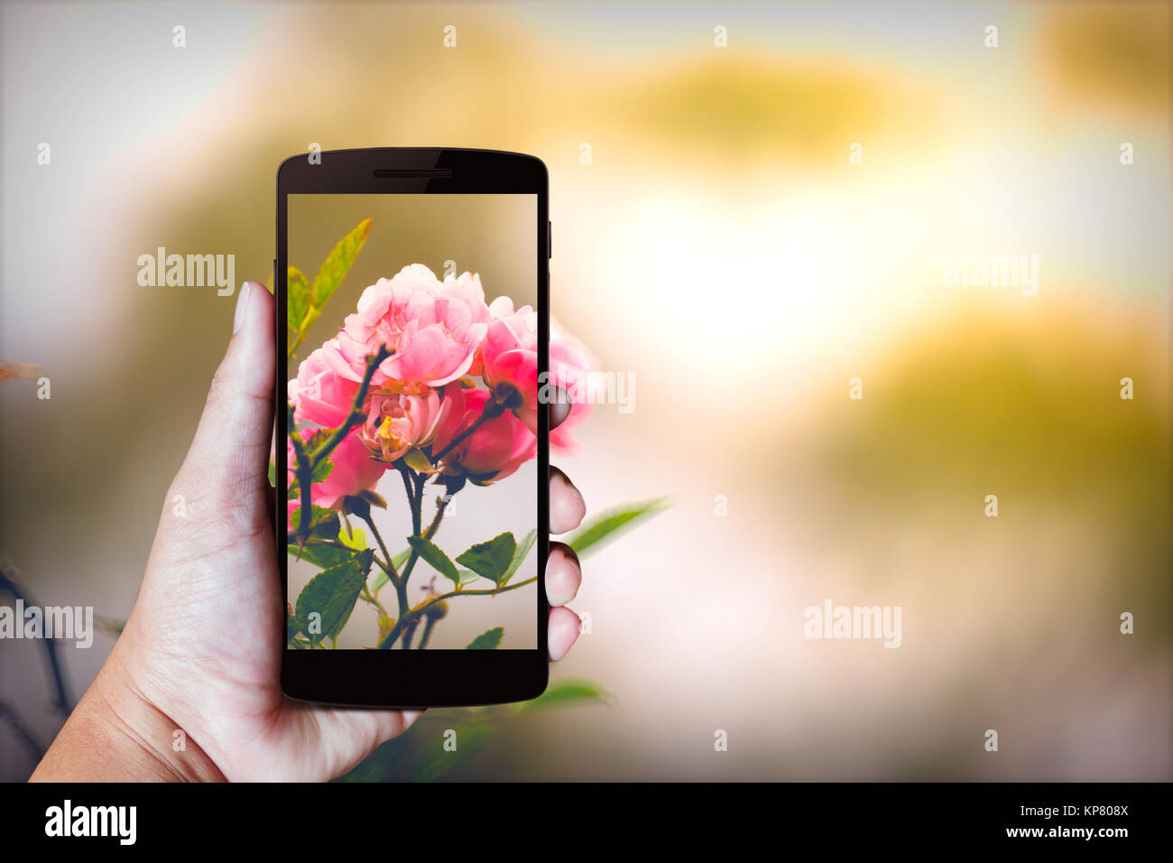 Modern mobile phone in the hand Stock Photo - Alamy