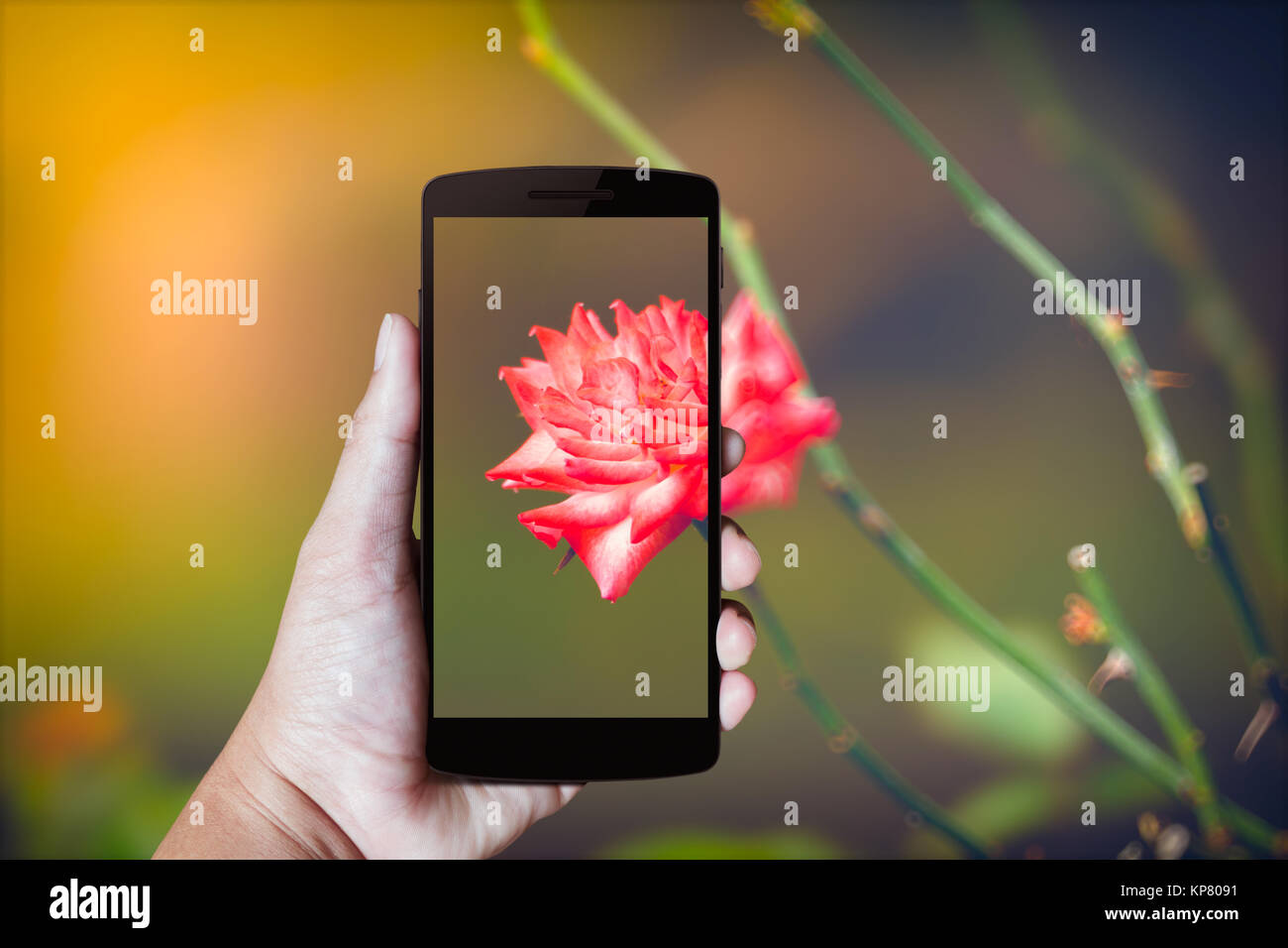 Modern mobile phone in the hand Stock Photo - Alamy