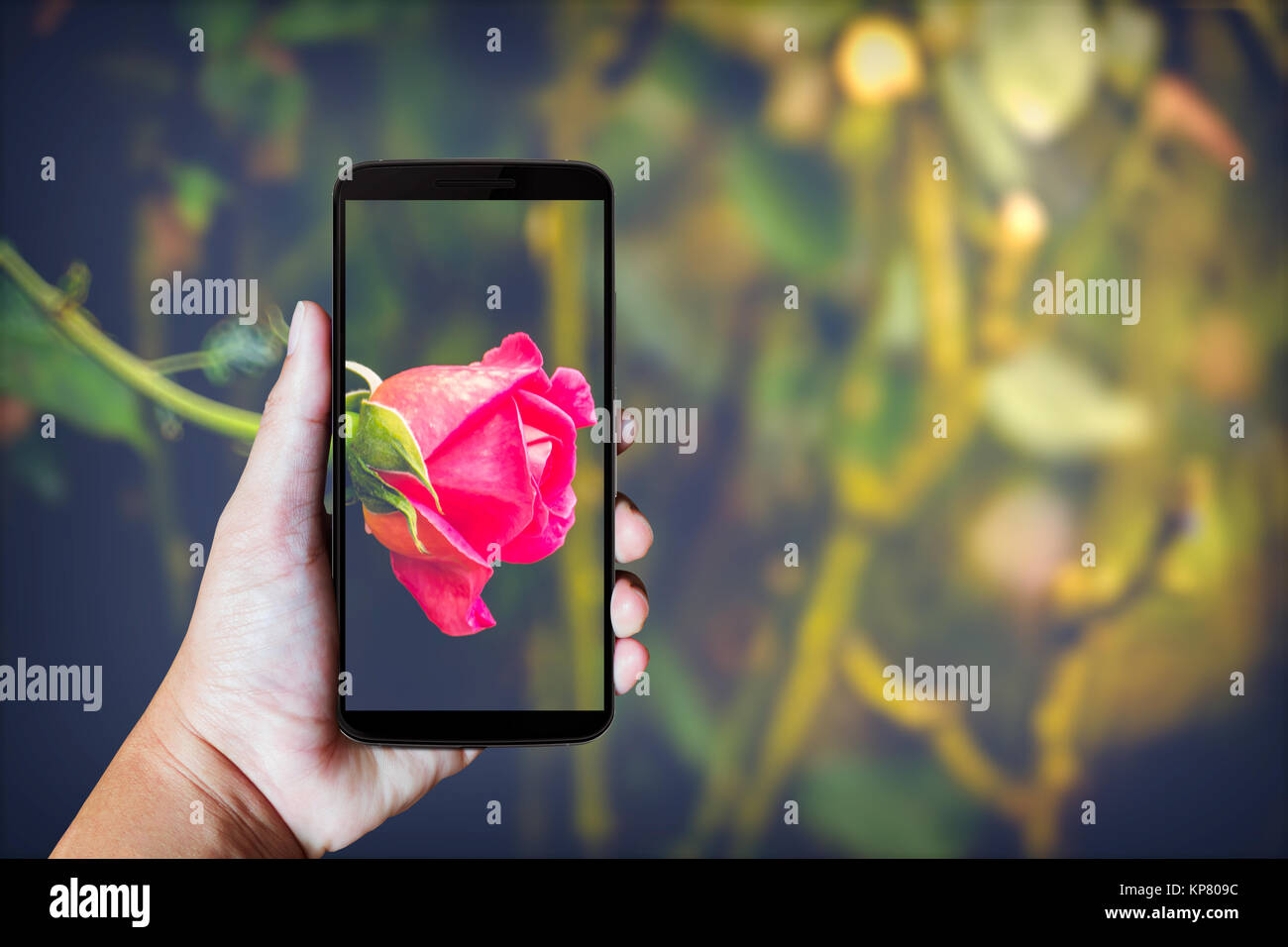 Modern mobile phone in the hand Stock Photo - Alamy