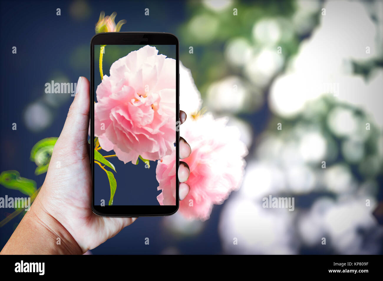 Modern mobile phone in the hand Stock Photo - Alamy