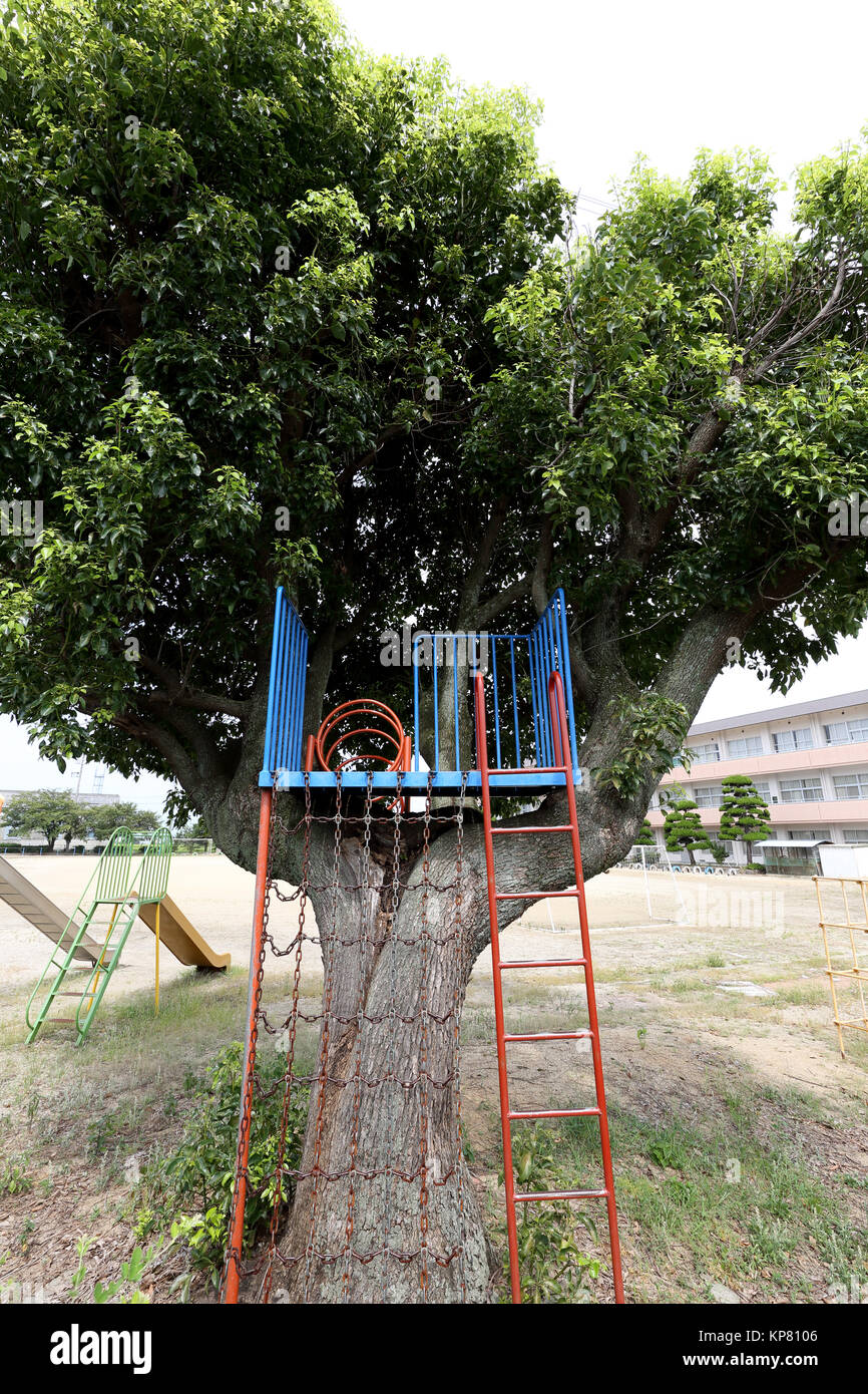 Children in the park, playground slide on a tree Stock Photo - Alamy