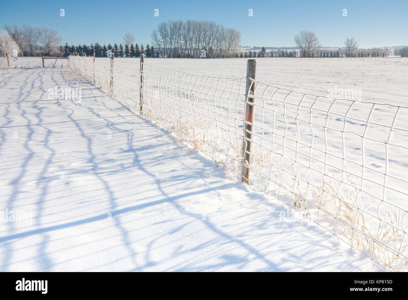 Fence Line Landscape in Snow Stock Photo - Alamy