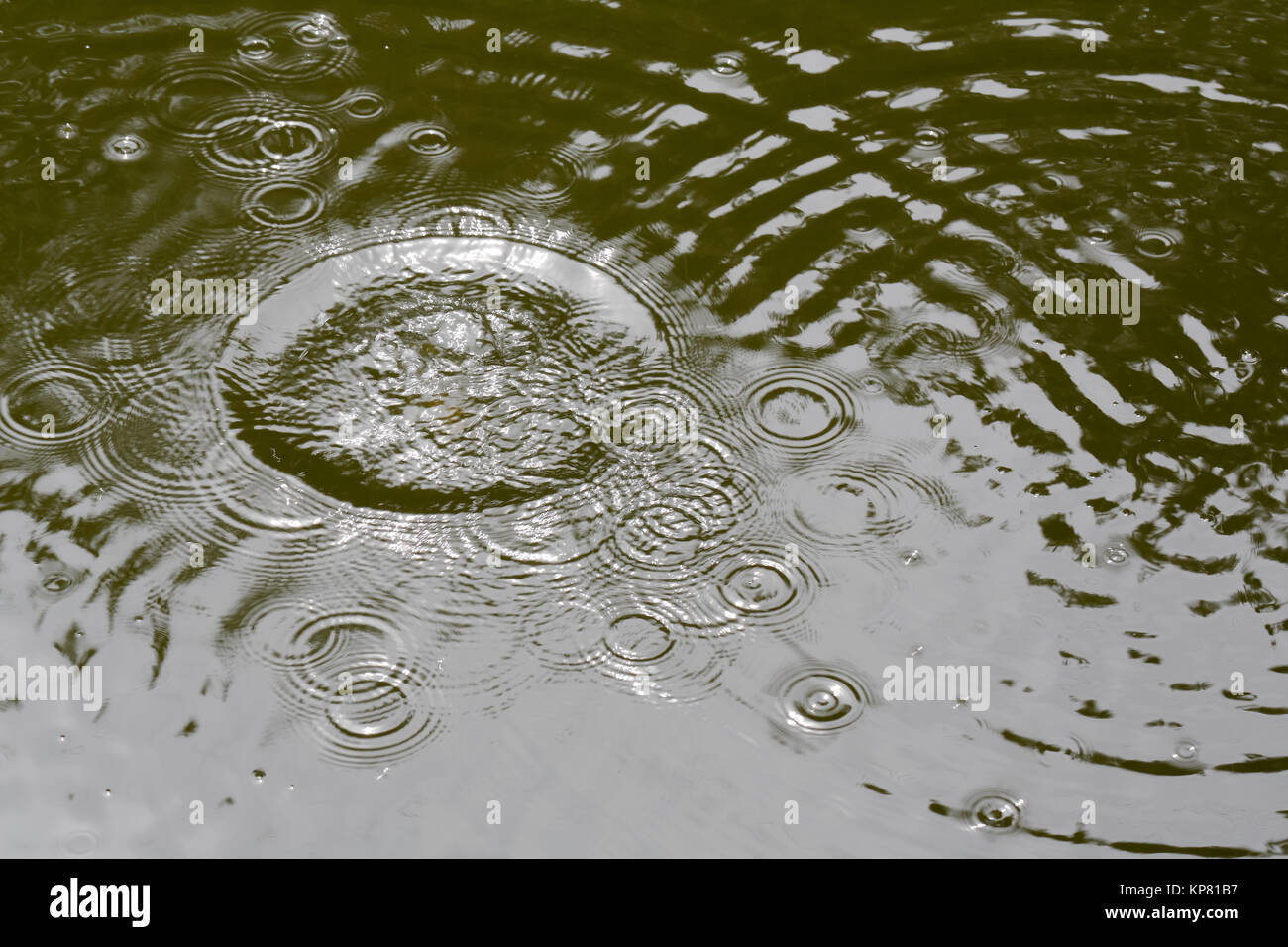 Splash water in the pond, natural background Stock Photo - Alamy