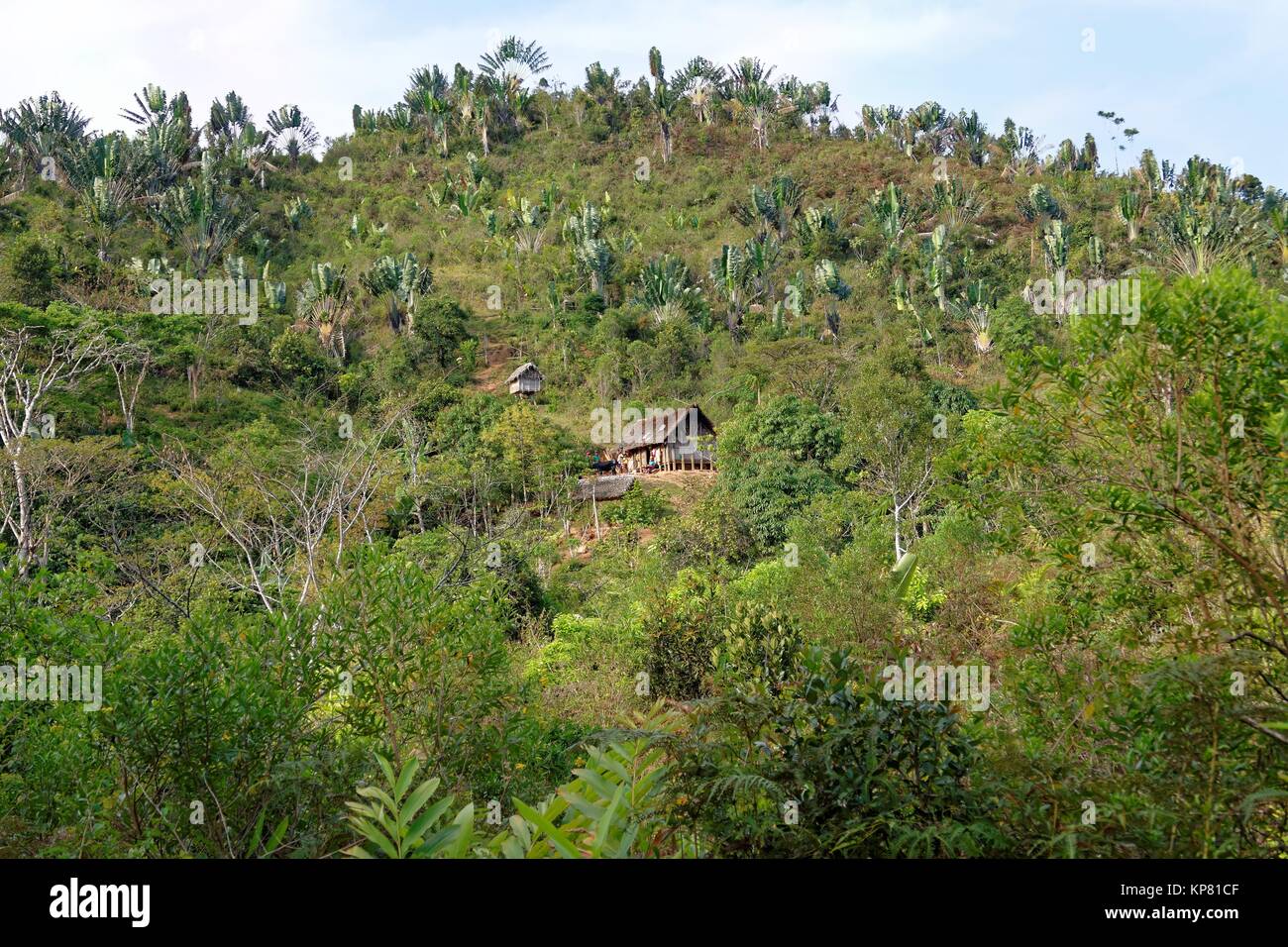 Androy hi-res stock photography and images - Alamy