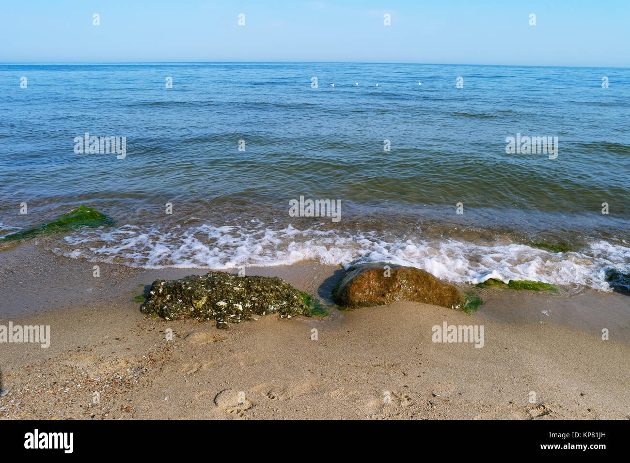 Sea, waves and stones Stock Photo - Alamy