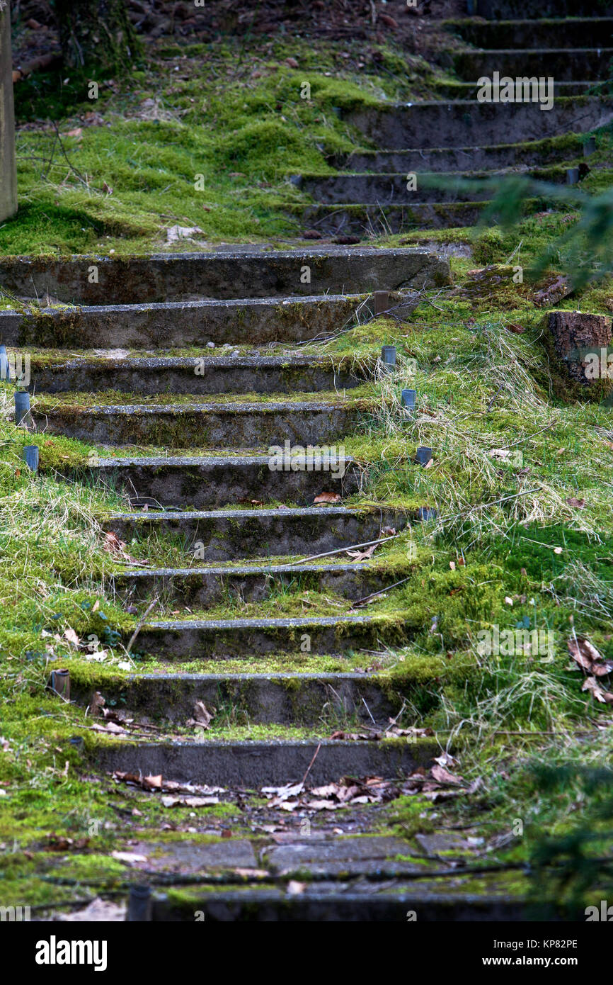 Old staircase partly covered with moss Stock Photo - Alamy