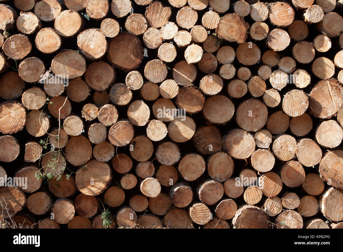 Pile of wood Stock Photo - Alamy