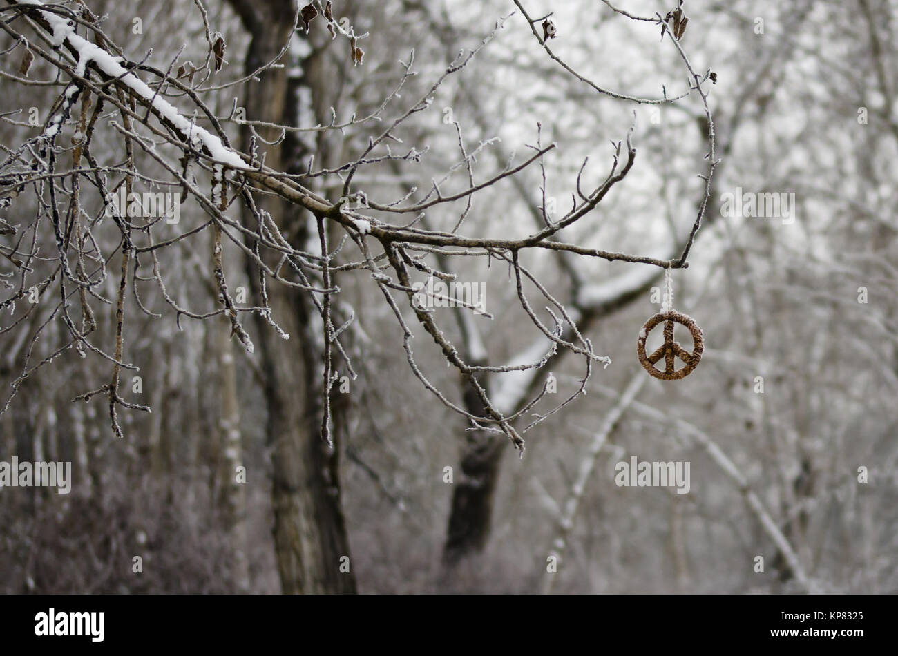 Kindness sign forest hi-res stock photography and images - Alamy