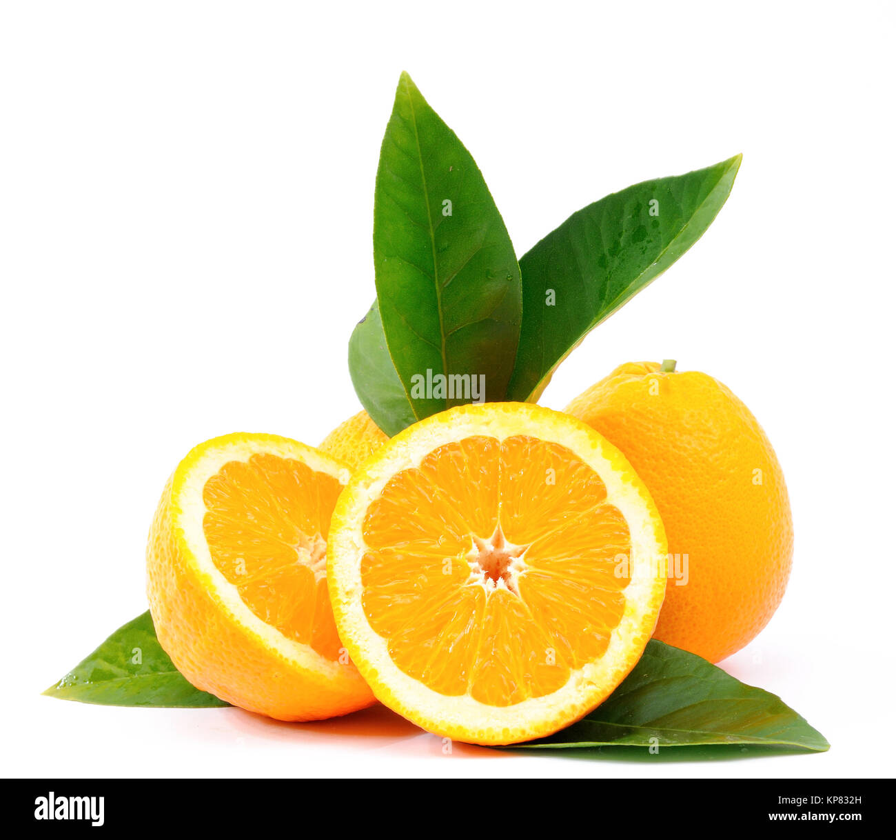 Oranges harvested in an organic cultivation, photographed on white ...